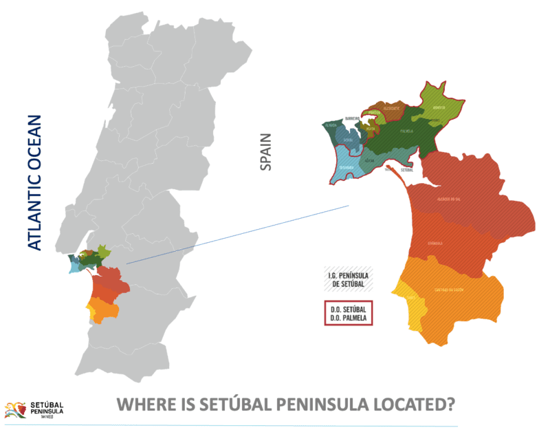 A wine tasting trip to Setubal Peninsula, Portugal | Mrs O Around The World