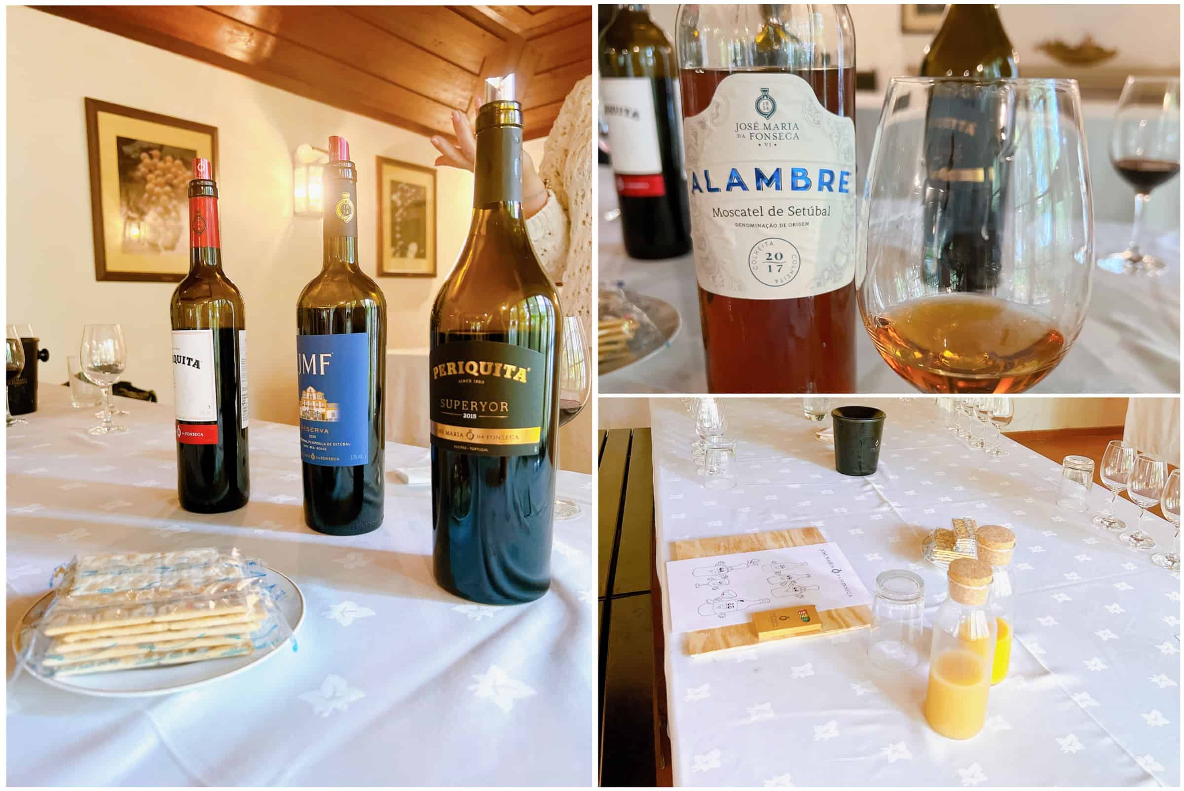 A wine tasting trip to Setubal Peninsula, Portugal | Mrs O Around The World